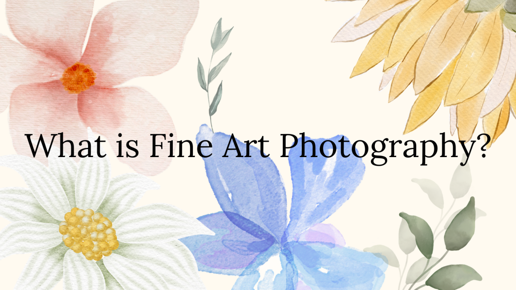 Art & Photography | Fine Art Pixels